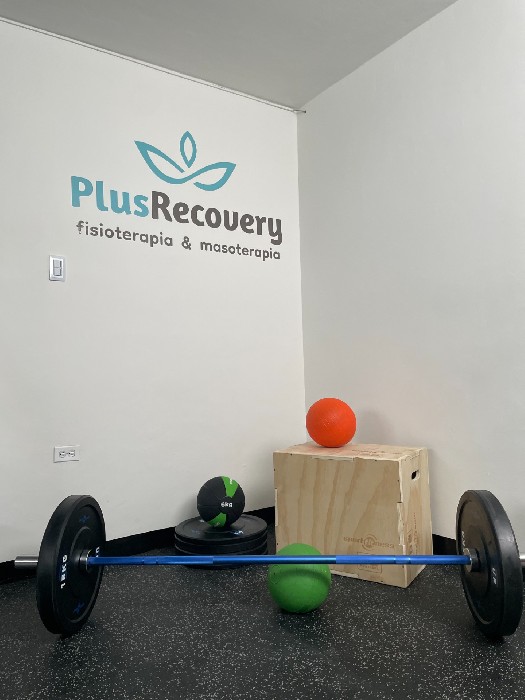 Sobre nosotros :: Plus Recovery